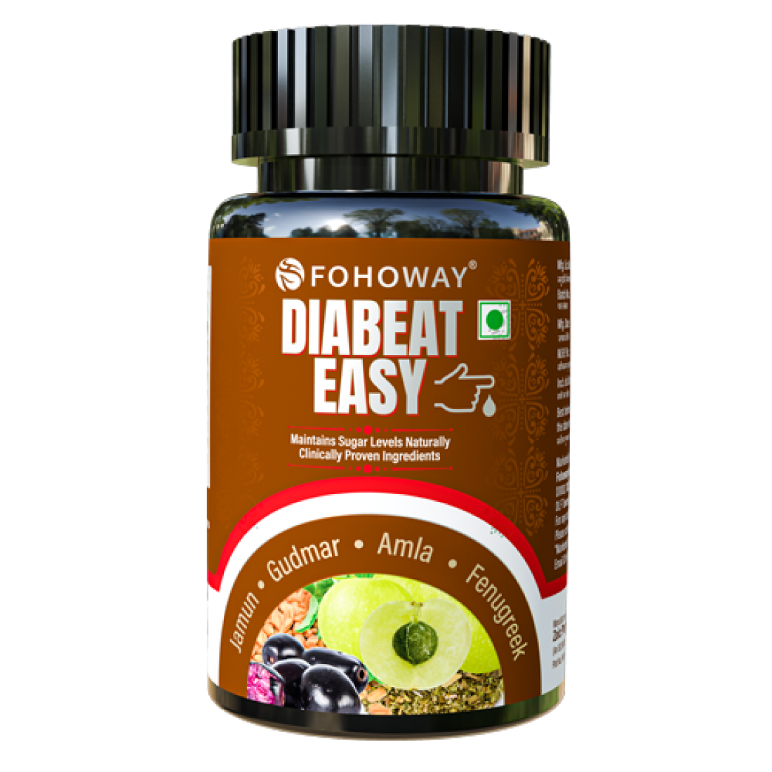 Fohoway Diabeat Easy